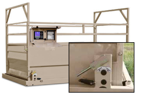 MAS-P Portable Group Animal Scale On Jamieson Equipment Co., Inc.