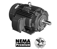 Louis Allis Severe Duty Motor - Rigid Base On Jamieson Equipment Co., Inc.